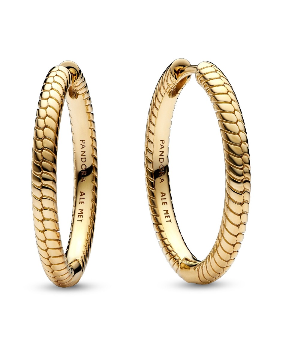 Pandora Moments Charm korvakorut 269532C00 - Keskisen Kello Oy